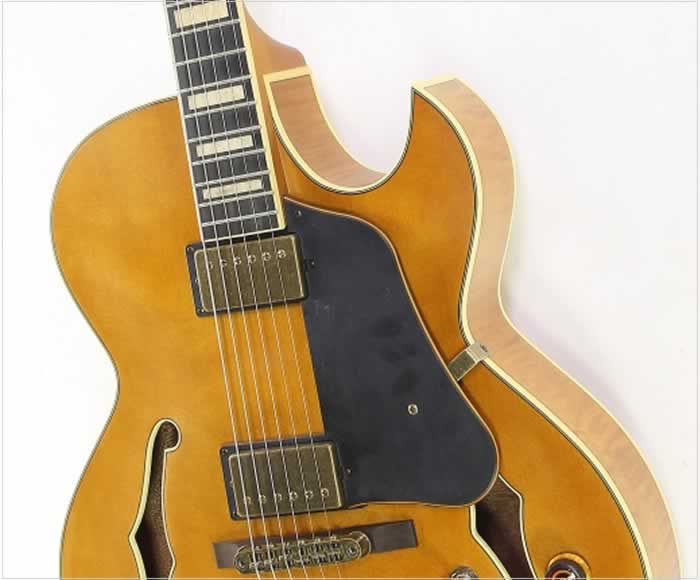 Ibanez Artcore Expressionist Vintage Archtop Electric, 2018