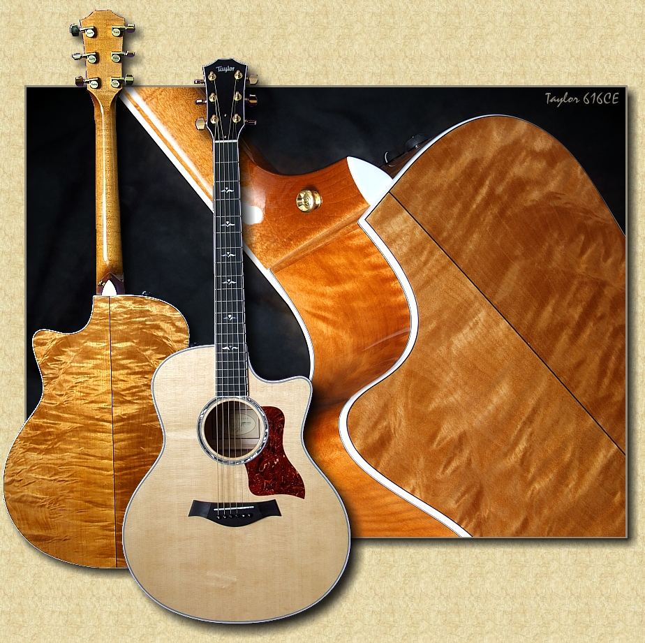 Taylor 616ce - archive.12fret.com